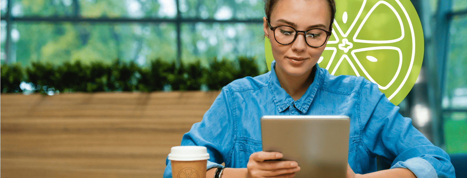 About – Limelight Marketing Systems